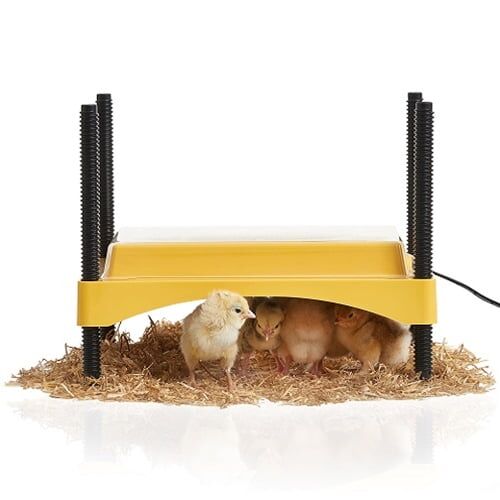 Brinsea Brooder For Sale | Brinsea Parrot Brooder